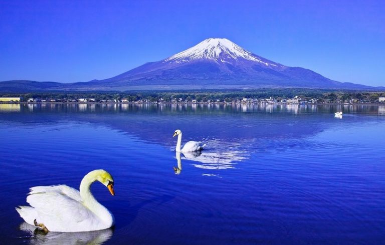 somewhatとsomehowの違いの意味を分かりやすく解説！ - 意味違い辞典