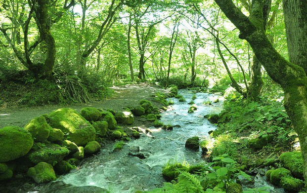 includeとinvolveの違いの意味を分かりやすく解説！ - 意味違い辞典